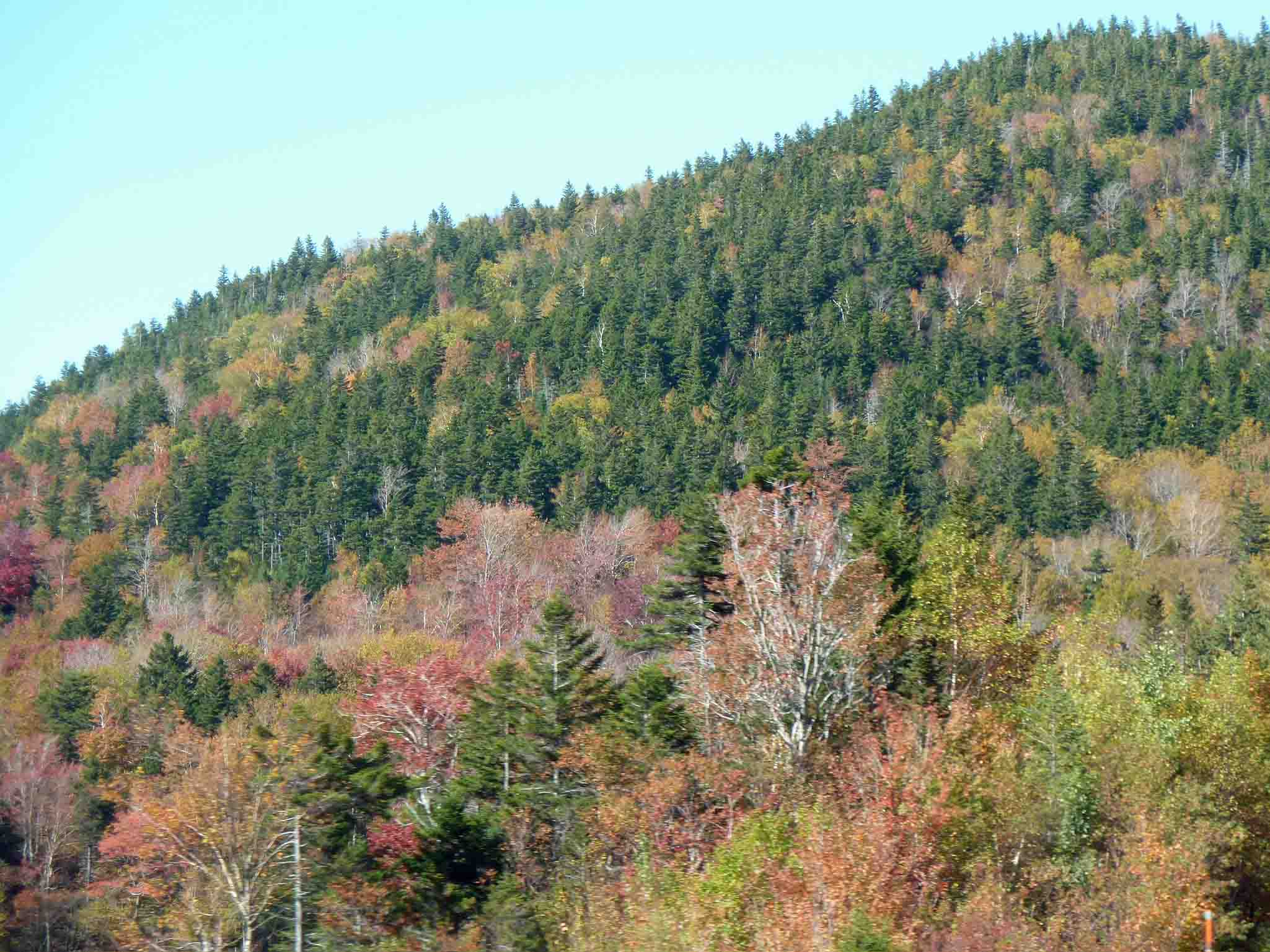 Mount Washington Vista – Copy – Ian Louis Harris